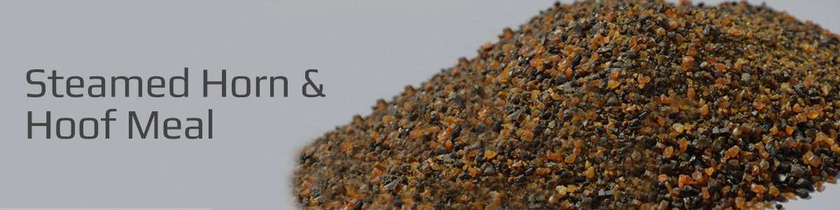 Steamed Horn & Hoofs Meal/Grist Manufacturer in India